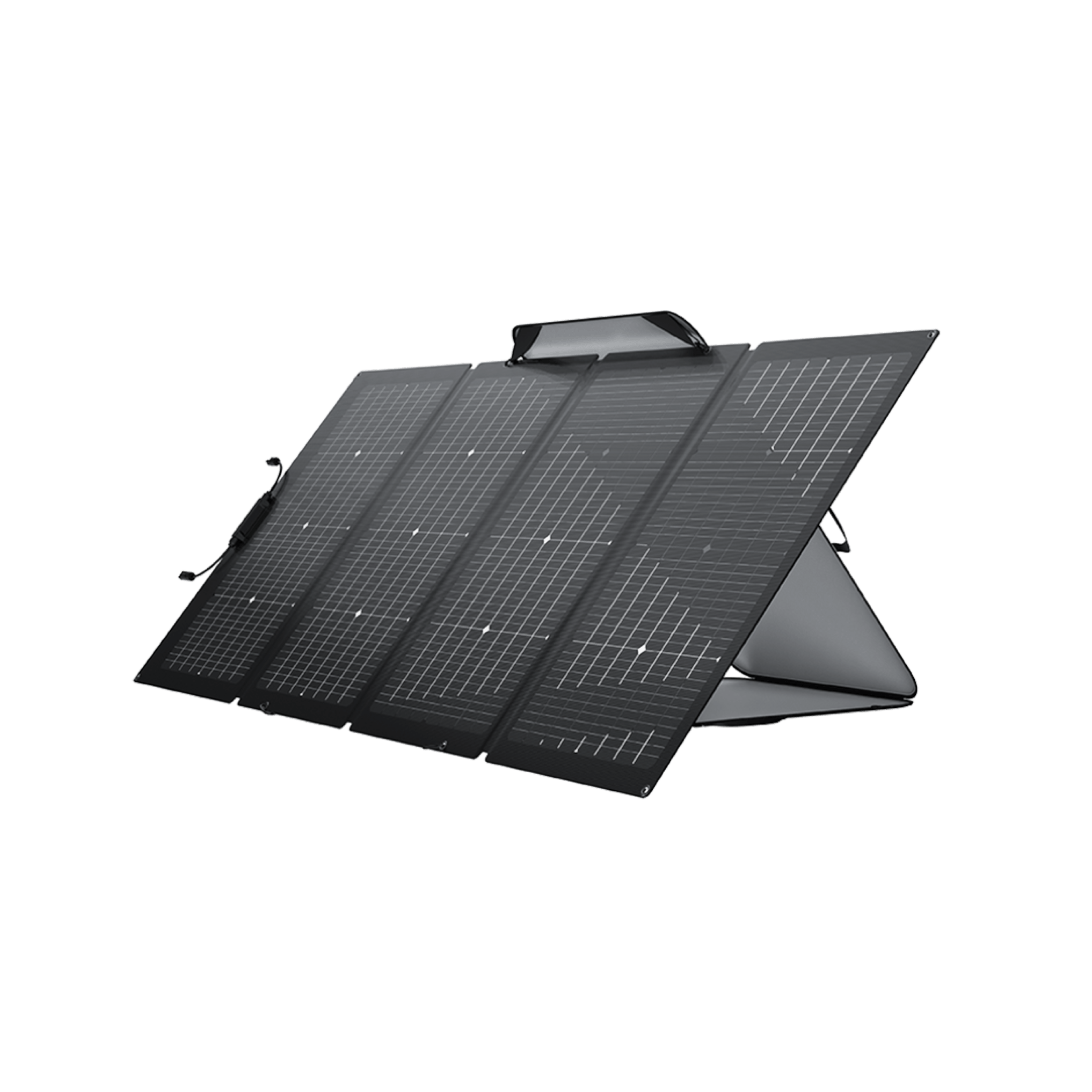 Ecoflow Schweiz Solarpanel Bifazial 220 155 Watt Faltbar Tasche